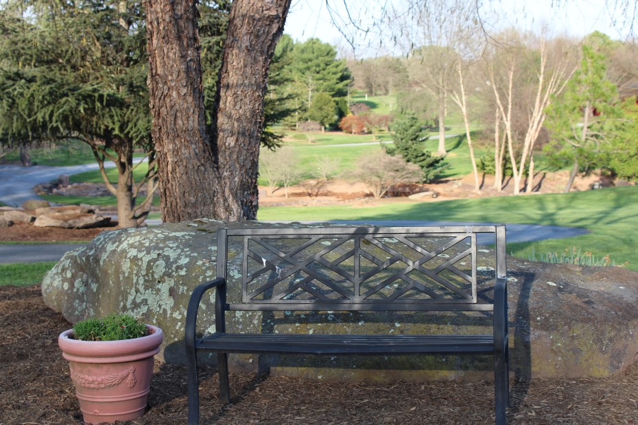 Tour the Farm – Susanna Farm Nursery