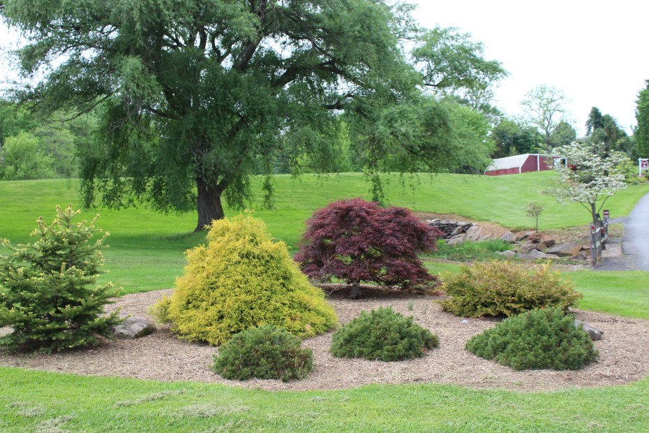 Tour the Farm – Susanna Farm Nursery